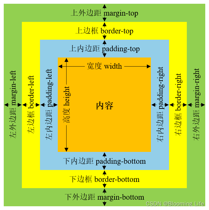 Css盒模型 Csdn博客