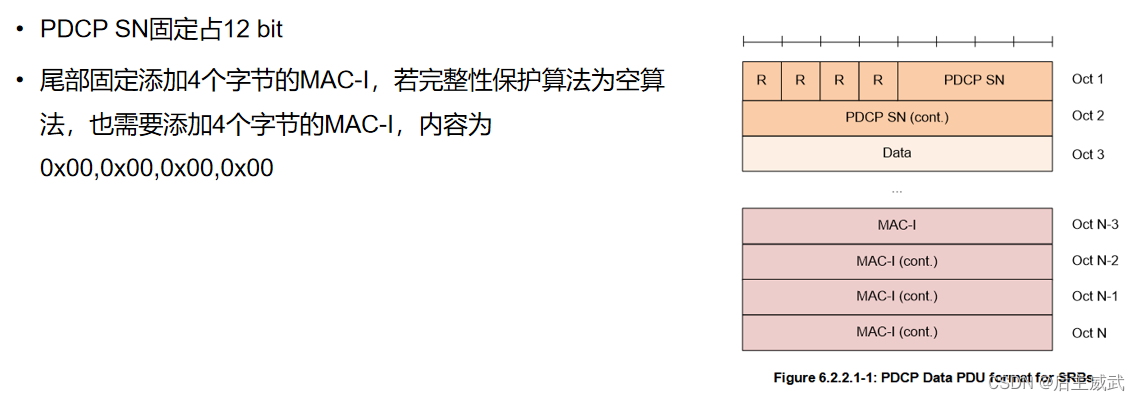 NR PDCP协议-CSDN博客