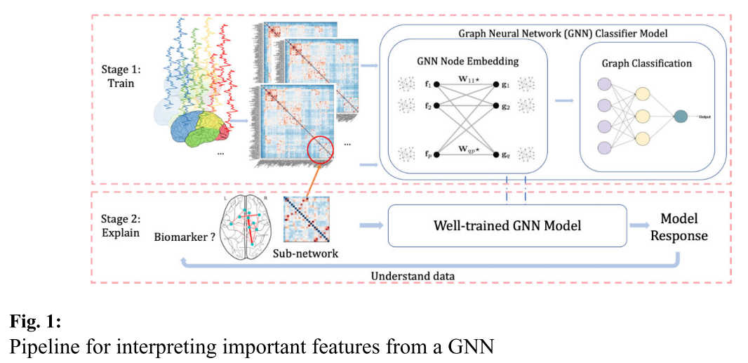 《Graph Neural Network for Interpreting Task-fMRI Biomarkers》阅读笔记-CSDN博客