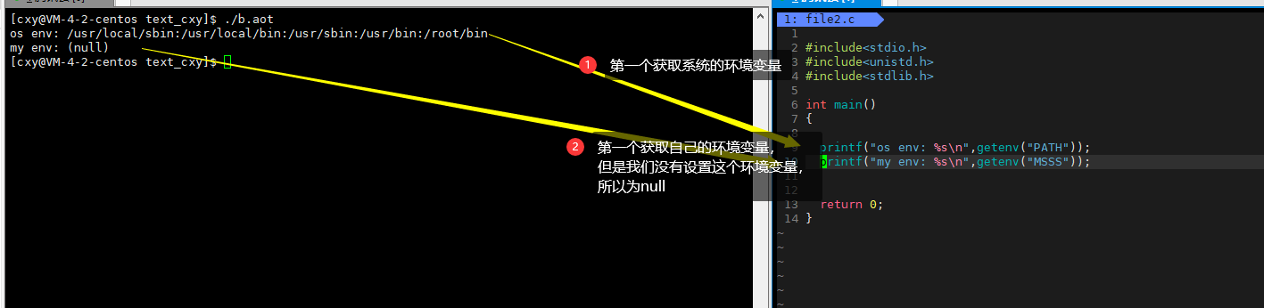 【Linux入门】：进程控制_linux unistd.h实现在哪里-CSDN博客