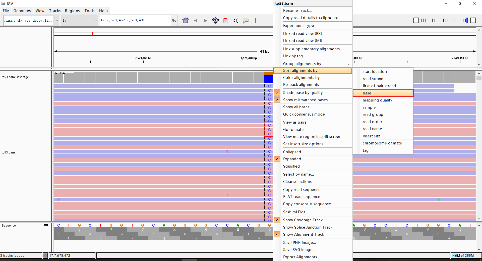 IGV变异可视化设置要点_igv可视化图怎么看-CSDN博客