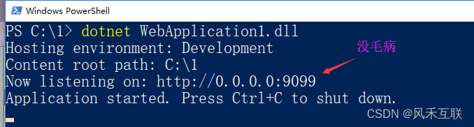 你需要知道的这几种 asp.net core 修改默认端口的方式_c# webhost 发布的端口-CSDN博客