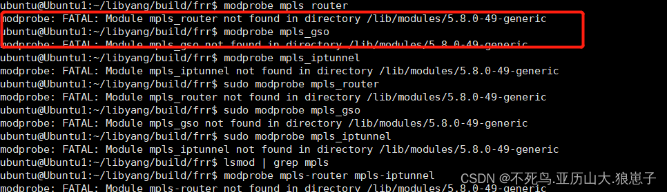 FRR（1）：Ubuntu环境上在LXC内安装FRR_linux frr-CSDN博客