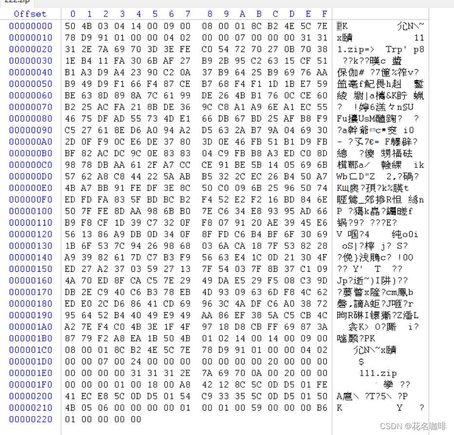 [GUET-CTF2019]zips-CSDN博客