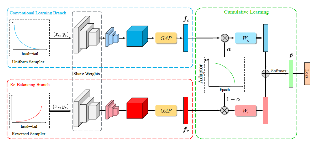 BBN：Bilateral-Branch network with cumulative learning for long-tailed ...