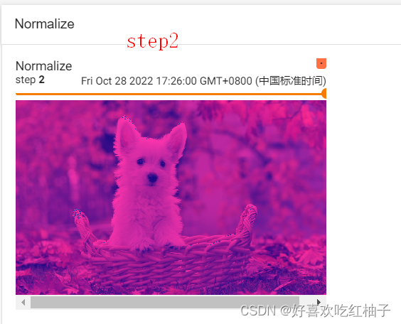Pytorch初学笔记(四):常见的transforms使用(totensor、normalize、resize、compose