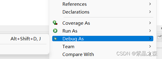 debug是什么_debug是啥软件-CSDN博客