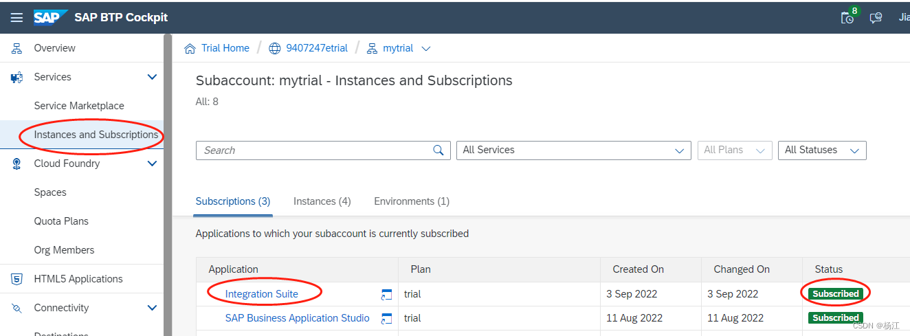 SAP云集成 SAP Integration Suite启用过程，踩坑记-CSDN博客
