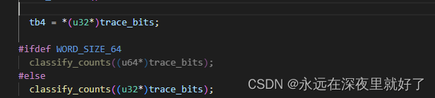 AFLNET源码分析-CSDN博客
