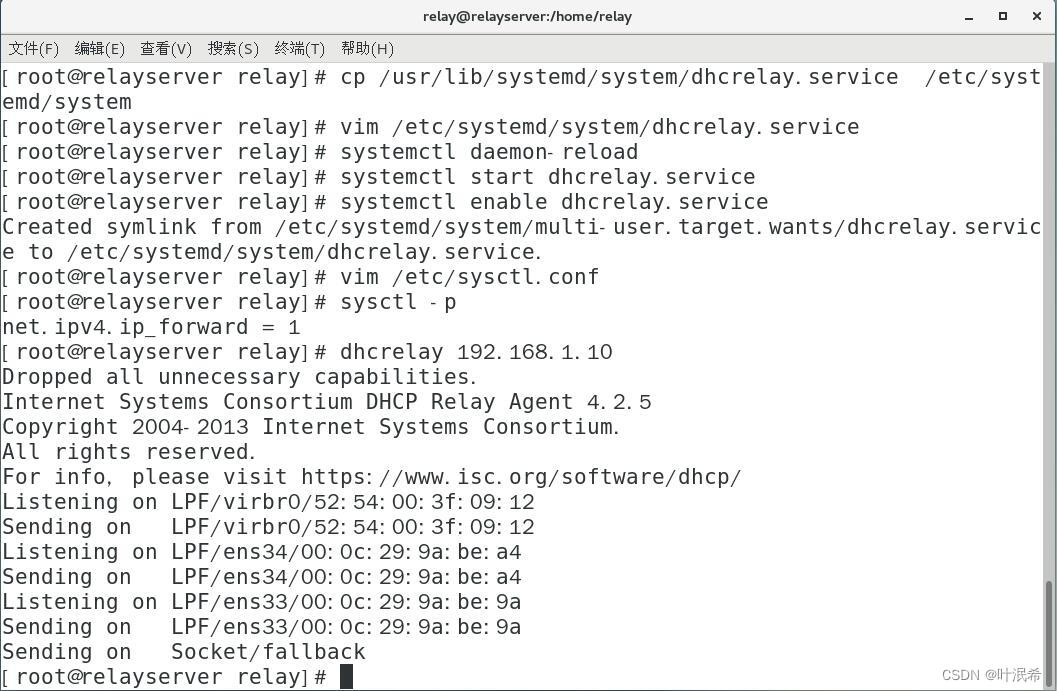 第四章 Centos 7 Linux配置dhcp 实训任务1：使用DHCP中继部署多子网环境_linux dhcp服务器 实训项目-CSDN博客