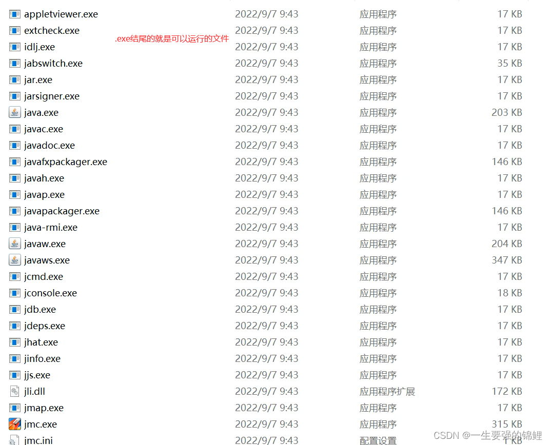 Java环境的安装_jdk-8u202-windows-x64.exe-CSDN博客