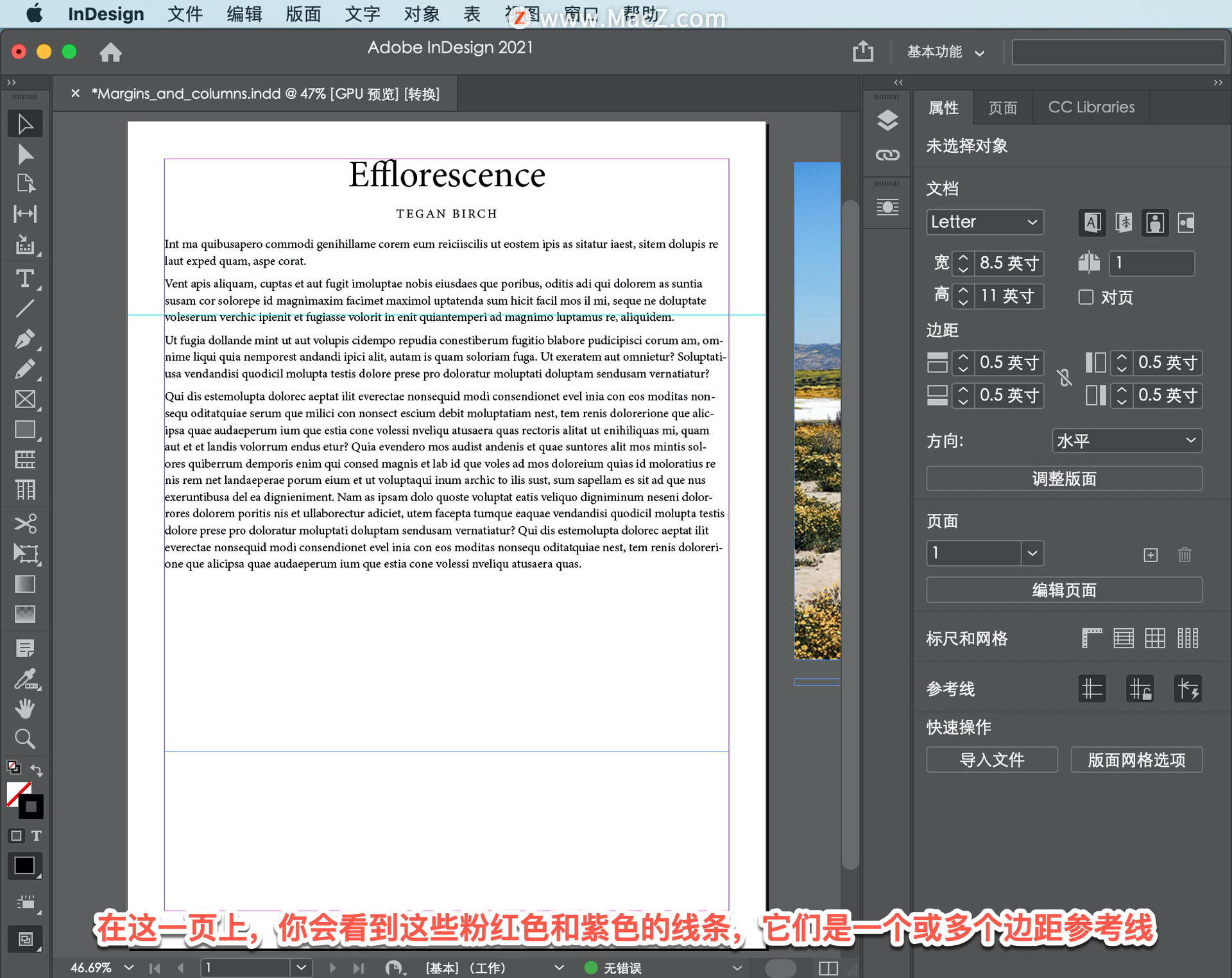 InDesign 教程：如何设置边距和分栏？_id调整版面-CSDN博客