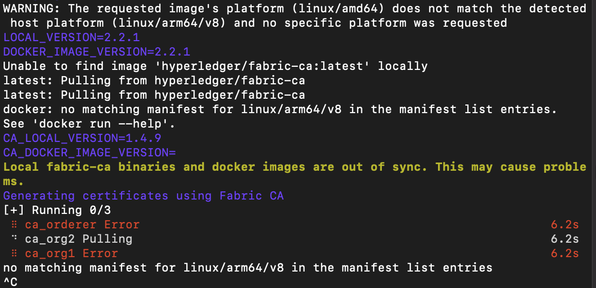 【Fabric2.2.1搭建】过程及遇到的问题_command 'shh' not found, did you mean: command 'sh-CSDN博客