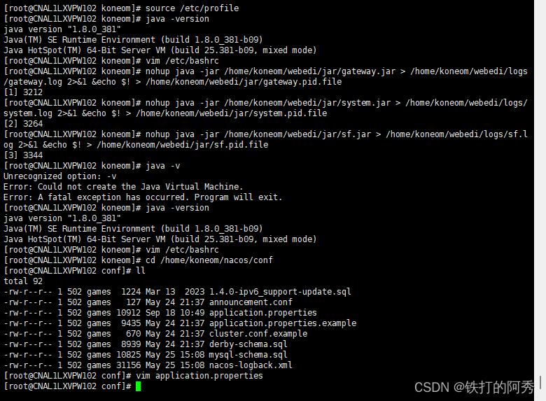 nacos2.2.3启动报错：Error creating bean with name ‘basicAuthenticationFilter‘ defined in class path ...