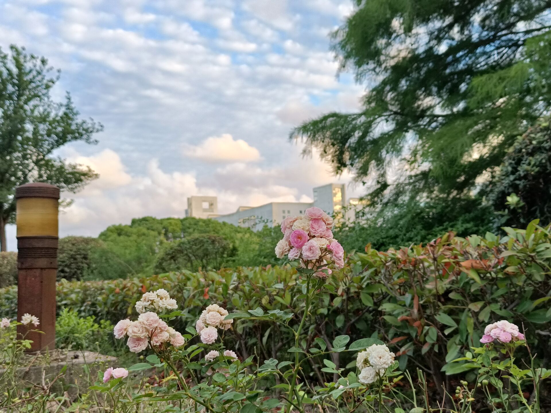 Codeforces Round #818 (Div. 2)A-D-EW帮帮网