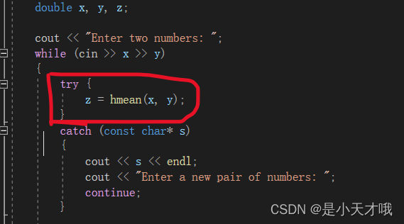 C++的简单异常try使用_c++ try-CSDN博客