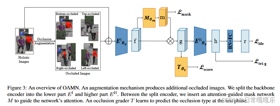 Occlude Them All: Occlusion-Aware Attention Network for Occluded Person Re-ID 论文纪录-CSDN博客