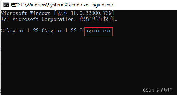 Windows 11下安装 nginx_nginx window11-CSDN博客