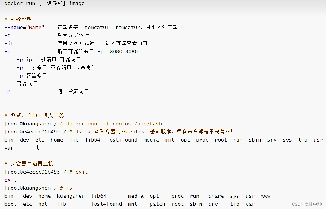 docker-基本命令_docker -dit-CSDN博客