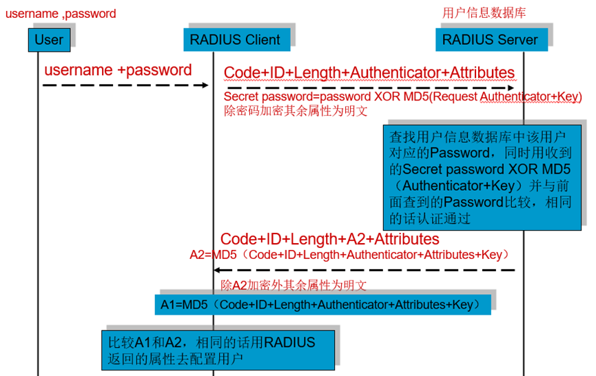 身份认证——AAA与Radius协议讲解_radius和aaa-CSDN博客