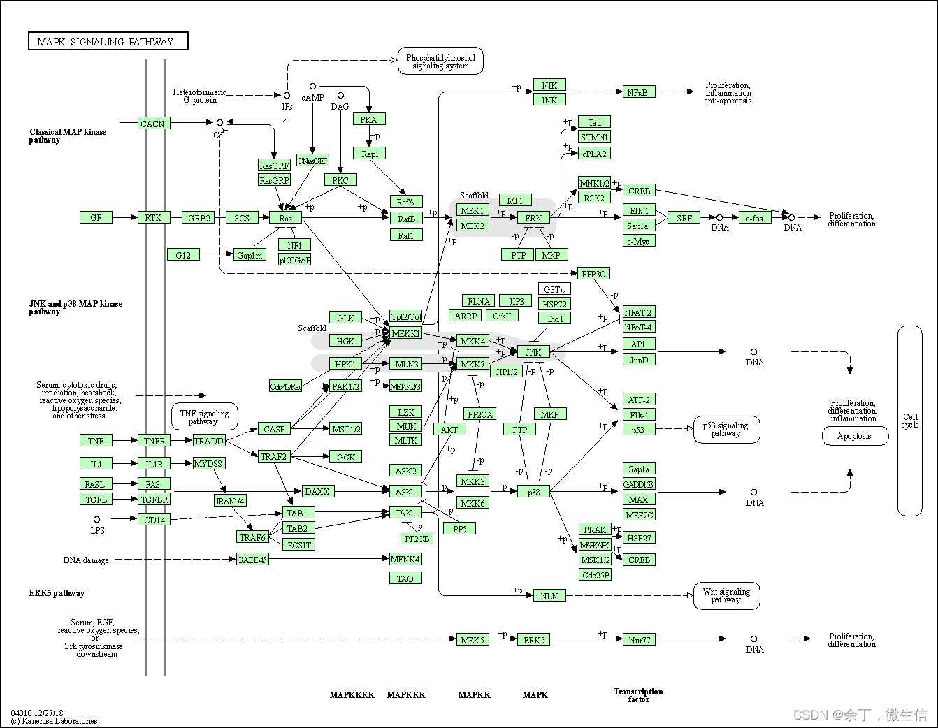 手把手教你给KEGG pathway图标注颜色_kegg通路图红色字体-CSDN博客