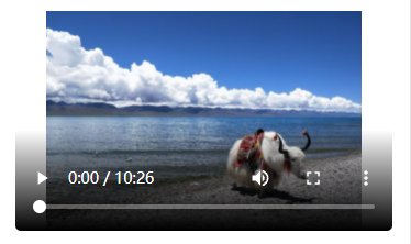 css解决video标签 poster封面图大小适配问题_video的poster智齿裁剪图片尺寸吗-CSDN博客