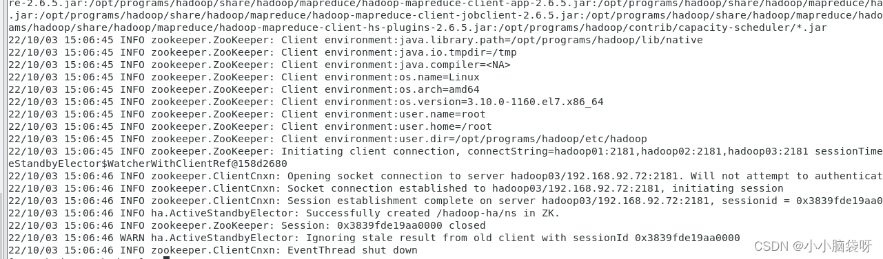 ha环境搭建_ha搭建-CSDN博客