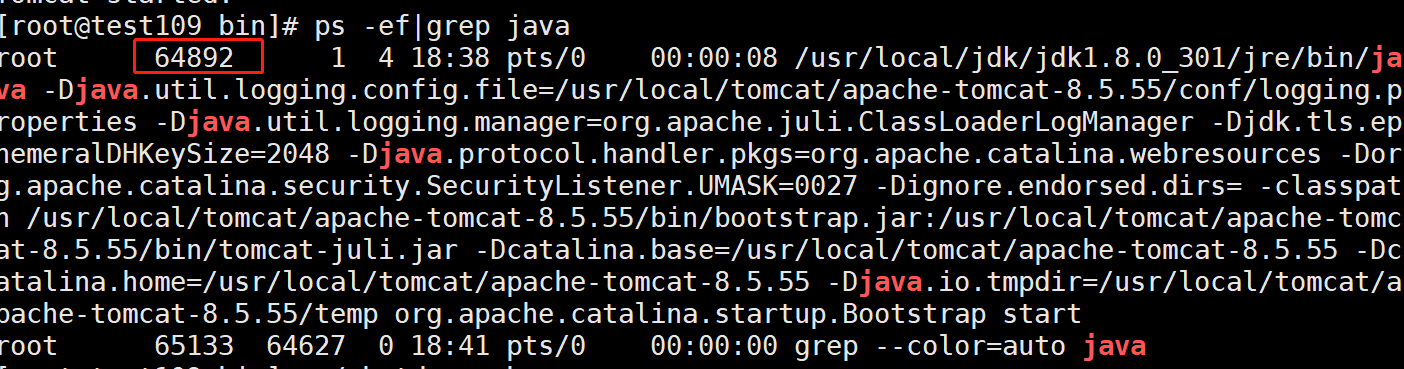 Linux安装tomcat、无法启动的解决方案_linux tomcat无法启动-CSDN博客