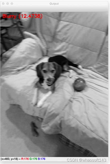 OpenCV~傅里叶变换(FFT)~模糊检测_快速傅里叶 模糊检测-CSDN博客