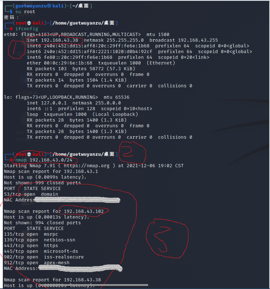 使用nmap和wireshark进行主动扫描与数据抓包-CSDN博客
