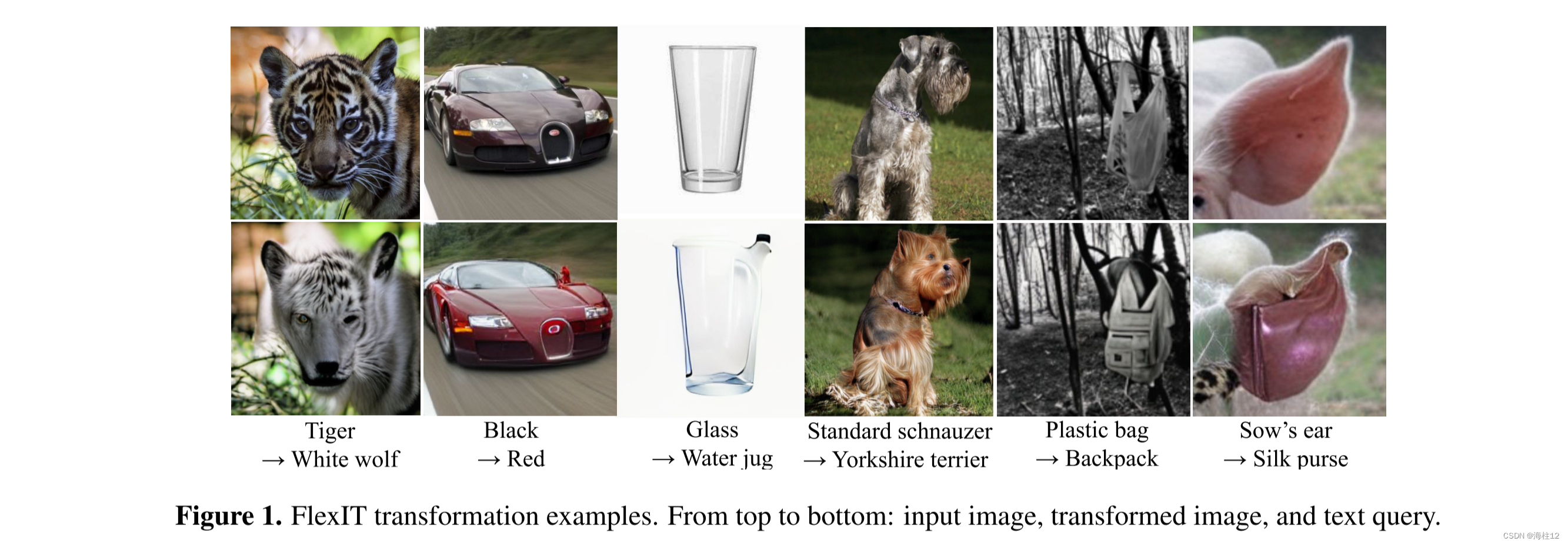 FlexIT: Towards Flexible Semantic Image Translation(走向灵活的语义图像转换)(CVPR 2022)-CSDN博客