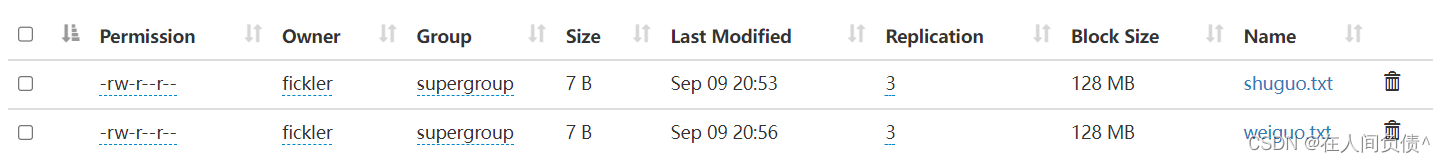 Hadoop 3.x（HDFS）----【HDFS 的 Shell 操作】_用hadoop fs创建目录后怎么进去-CSDN博客