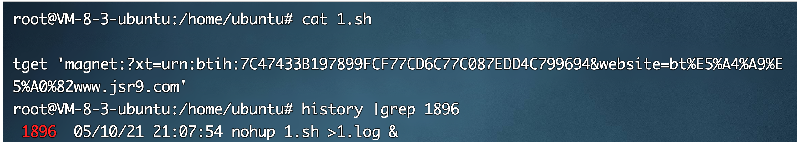 linux 命令行下载BT种子和磁力链接 ubuntu linux 命令行下载种子_ubuntu下载magnet链接-CSDN博客
