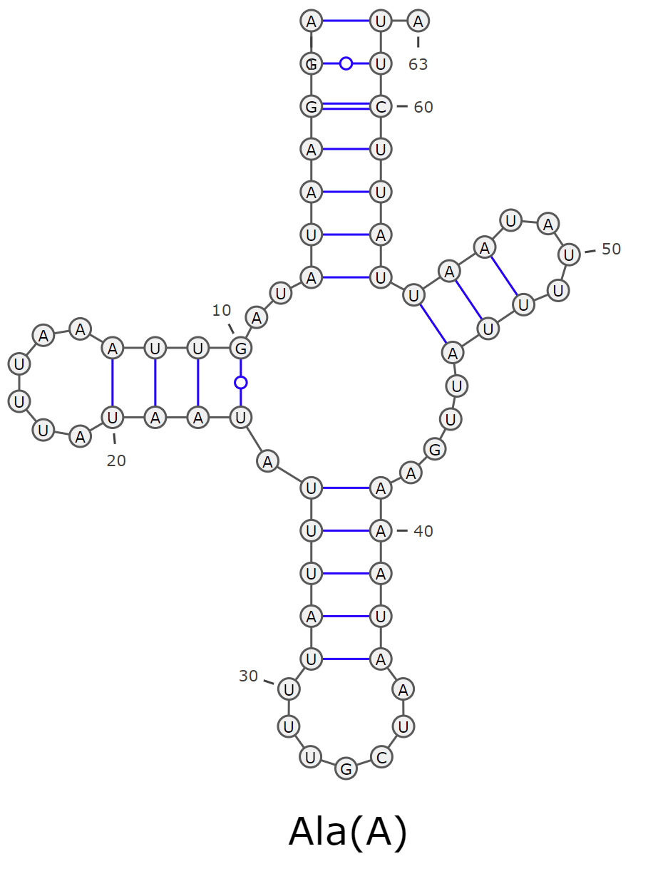 利用tRNAscan-SE做tRNA分析-CSDN博客