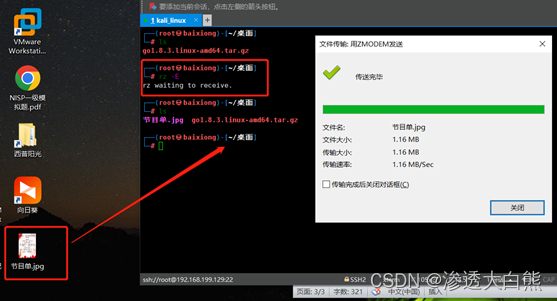 kali操作系统＋信息搜集工具_kali rlwrap-CSDN博客