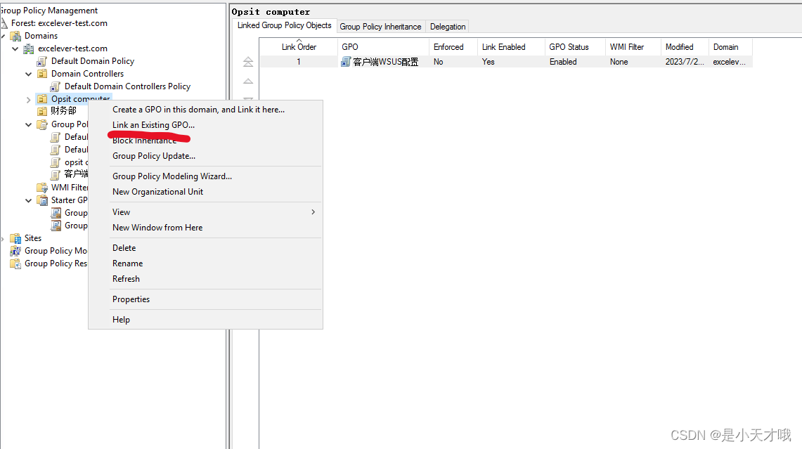 windows server服务-WSUS服务搭建_wsus补丁服务器-CSDN博客