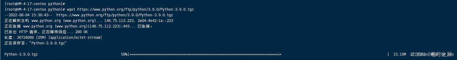 docker运行centos镜像 安装python3.9环境_docker python3.9-CSDN博客