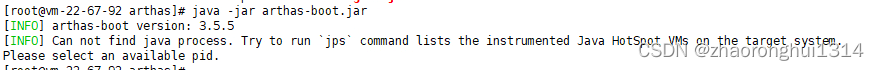 arthas调试tomcat中java程序_can not find java process. try to run `jps` comman-CSDN博客