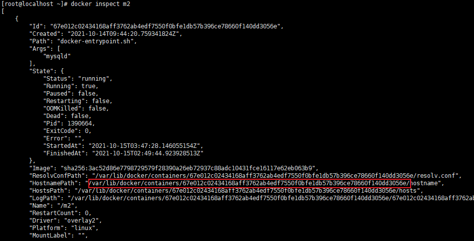 Docker 创建容器后再修改 hostname_群晖创建好的docker桥接改host-CSDN博客