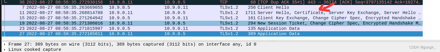 seedlab:Virtual Private Network Lab-CSDN博客