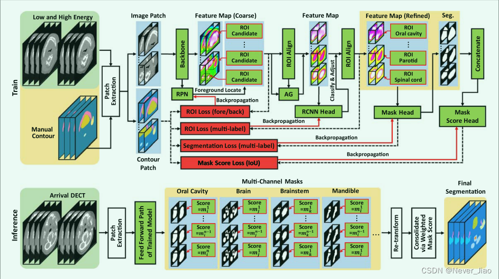 Head and neck multi-organ segmentation on dual-energy CT using dual pyramid convolutional neural ...