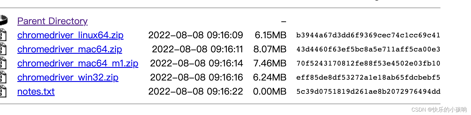 阿里云ubuntu 跑selenium_阿里云服务器 selenium-CSDN博客