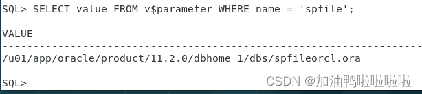 设置数据库默认为spfile启动，并且数据库SGA大小为2G,PGA大小为200M_oracle默认spfile启动-CSDN博客