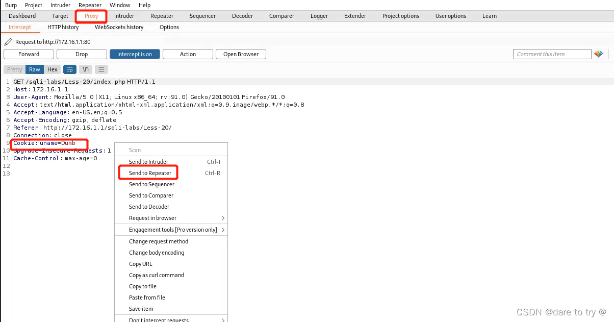 【SQL注入-10】cookie注入案例—以Sqli-labs靶机第less20关为例（借助BurpSuite工具）_cookie注入靶场-CSDN博客