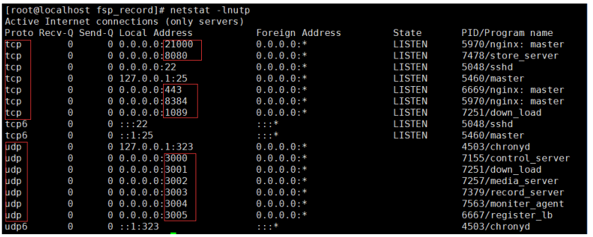 Linux环境下查看端口以及解决端口被占用的问题_linux查看8081端口是否被占用-CSDN博客