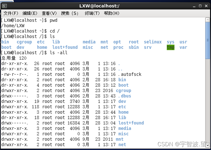 【linux文件系统管理(1) 实验报告】在用户主目录下以自己的学号创建目录 Csdn博客