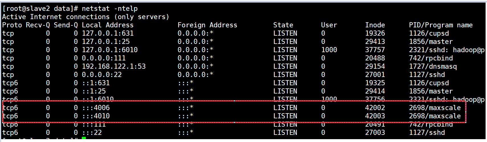 安装 MaxScale_docker安装maxscale怎么带版本-CSDN博客