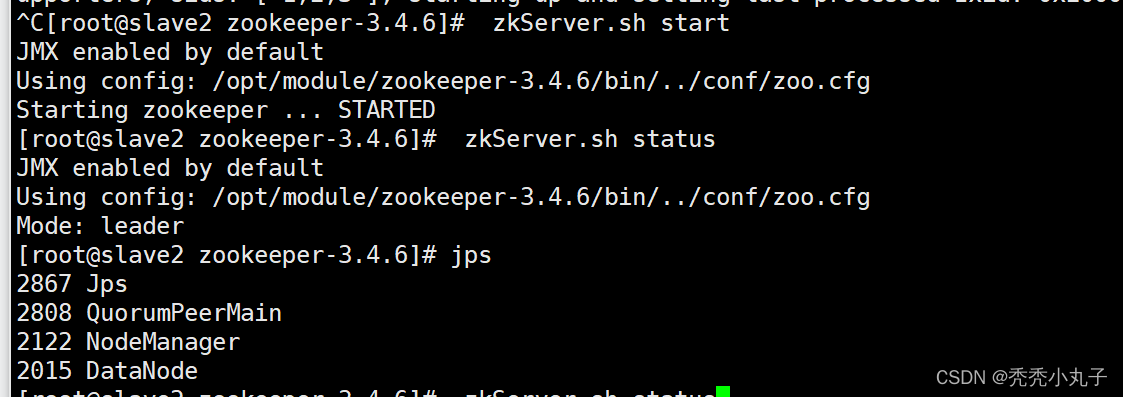 当zookeeper报错Invalid config, exiting abnormally,Error contacting service. It is probably not ...