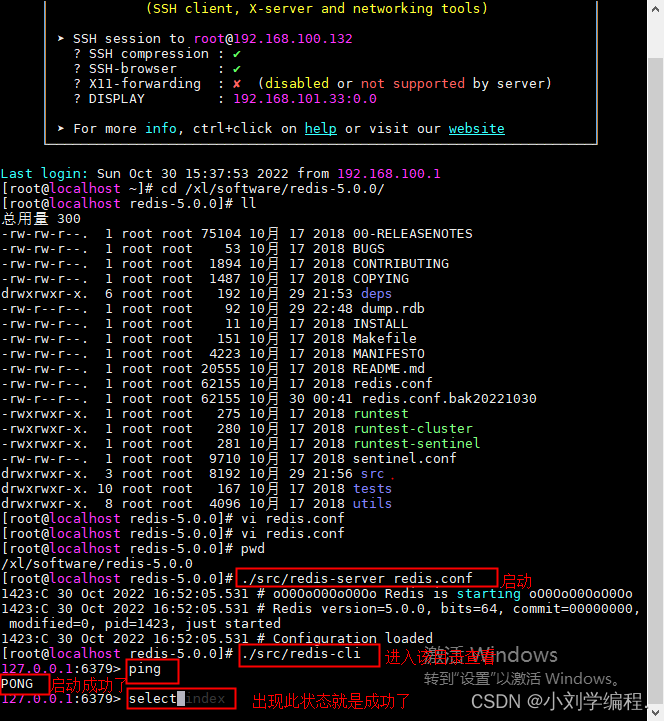 Redis 命令操作redisredis守护进程 Csdn博客