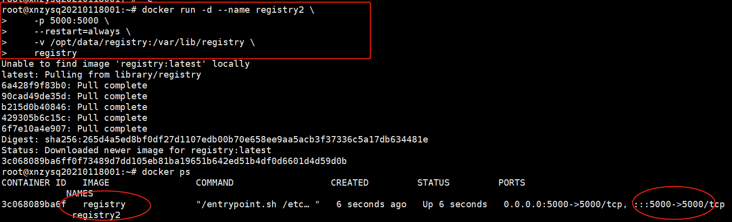 Docker教程-8-DockerHub仓库及私有仓库的使用-CSDN博客